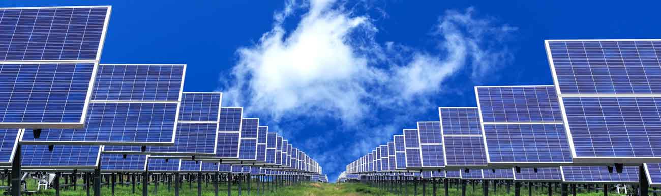 Shell to Set Up Dedicated Renewables Division - Simply Switch